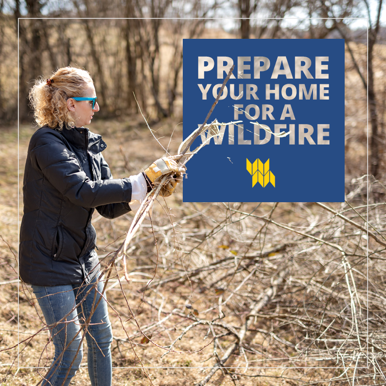 Fire Season 101 – Western Mutual Insurance Group