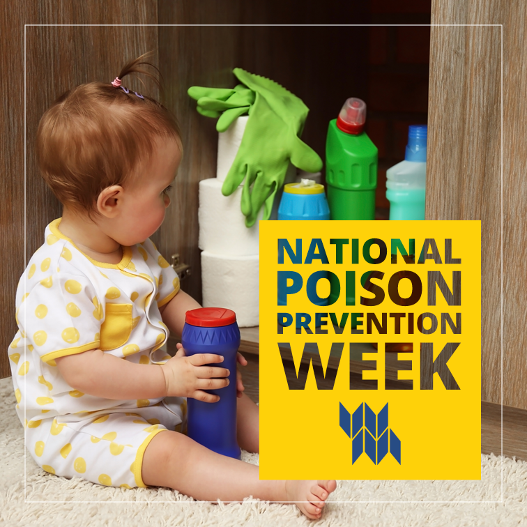 Prepare, Prevent & Protect – Western Mutual Insurance Group