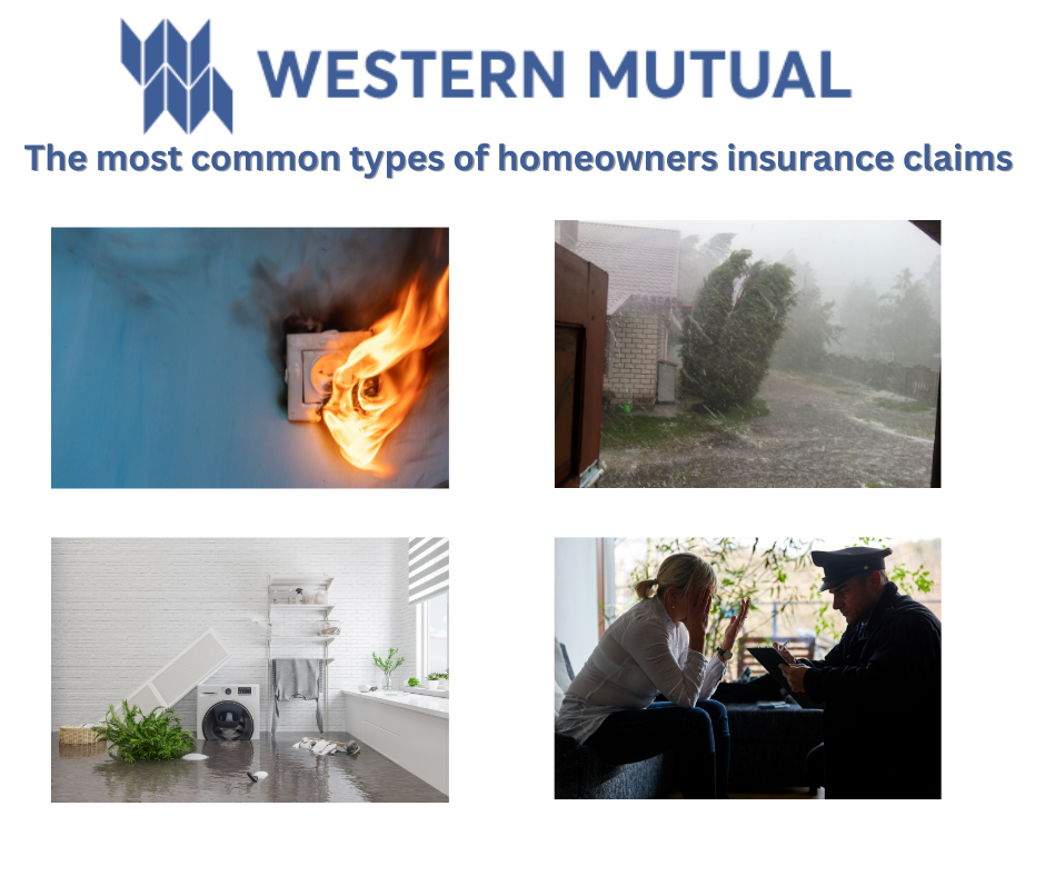 Most Common Types of Home Insurance Claims – Western Mutual Insurance Group