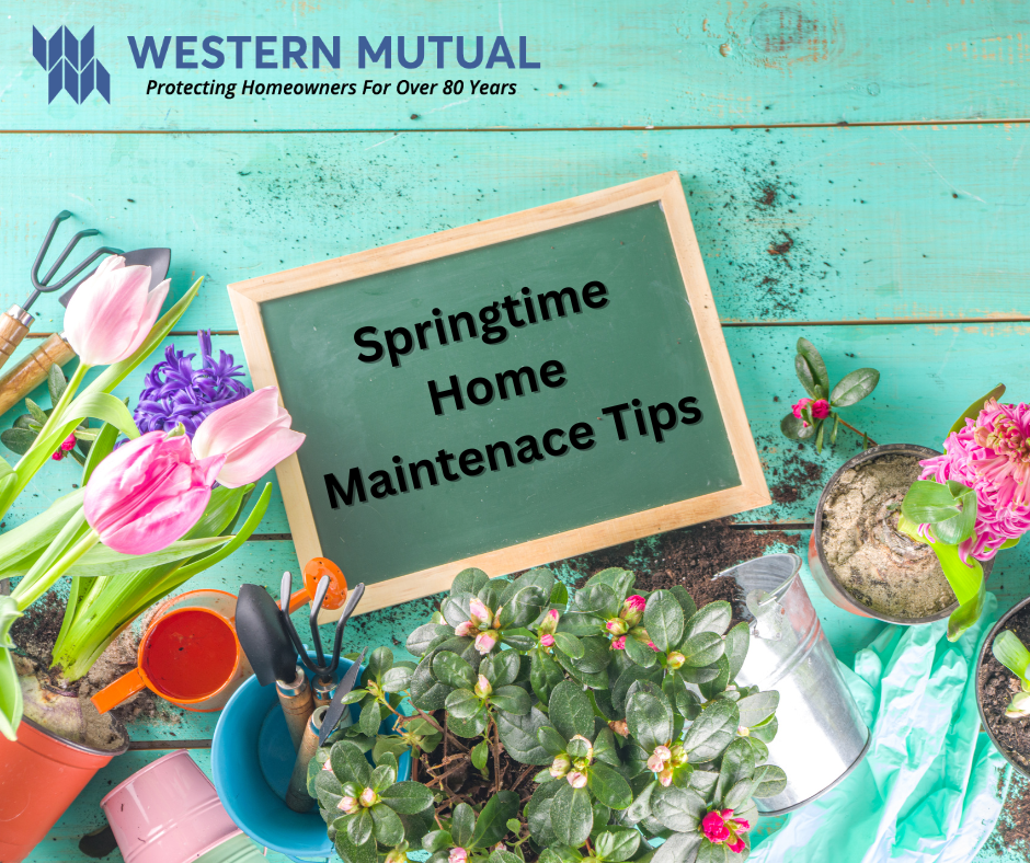 Springtime Home Maintenace Tips – Western Mutual Insurance Group