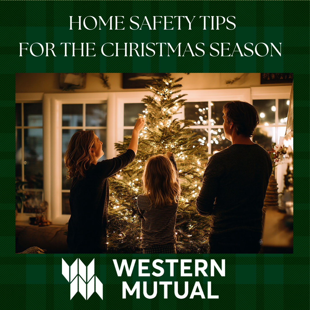 Home Safety Tips for the Christmas Season – Western Mutual Insurance Group